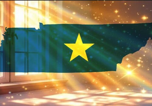 Rope Access 101: How Our Technicians Stay Safe at 40 Stories - Window ...